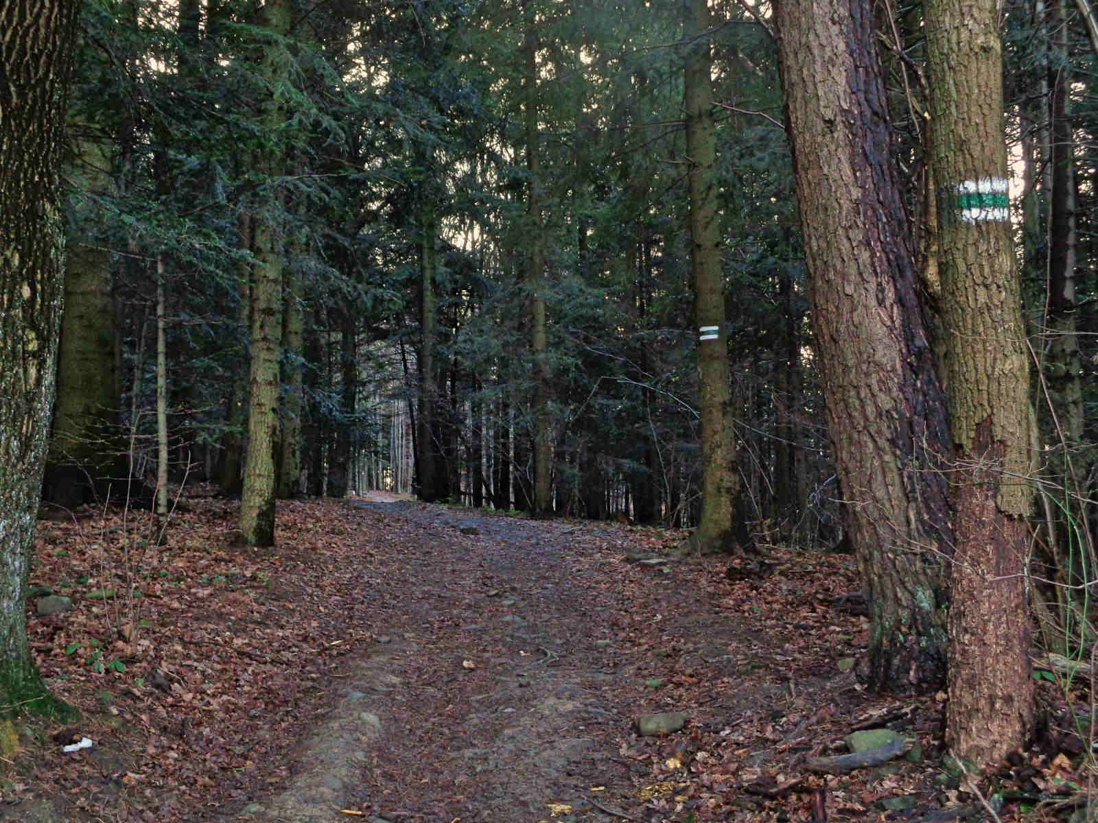 Myślenice – szlaki na Górę Chełm i Uklejną – ProjektyPrzygodowe