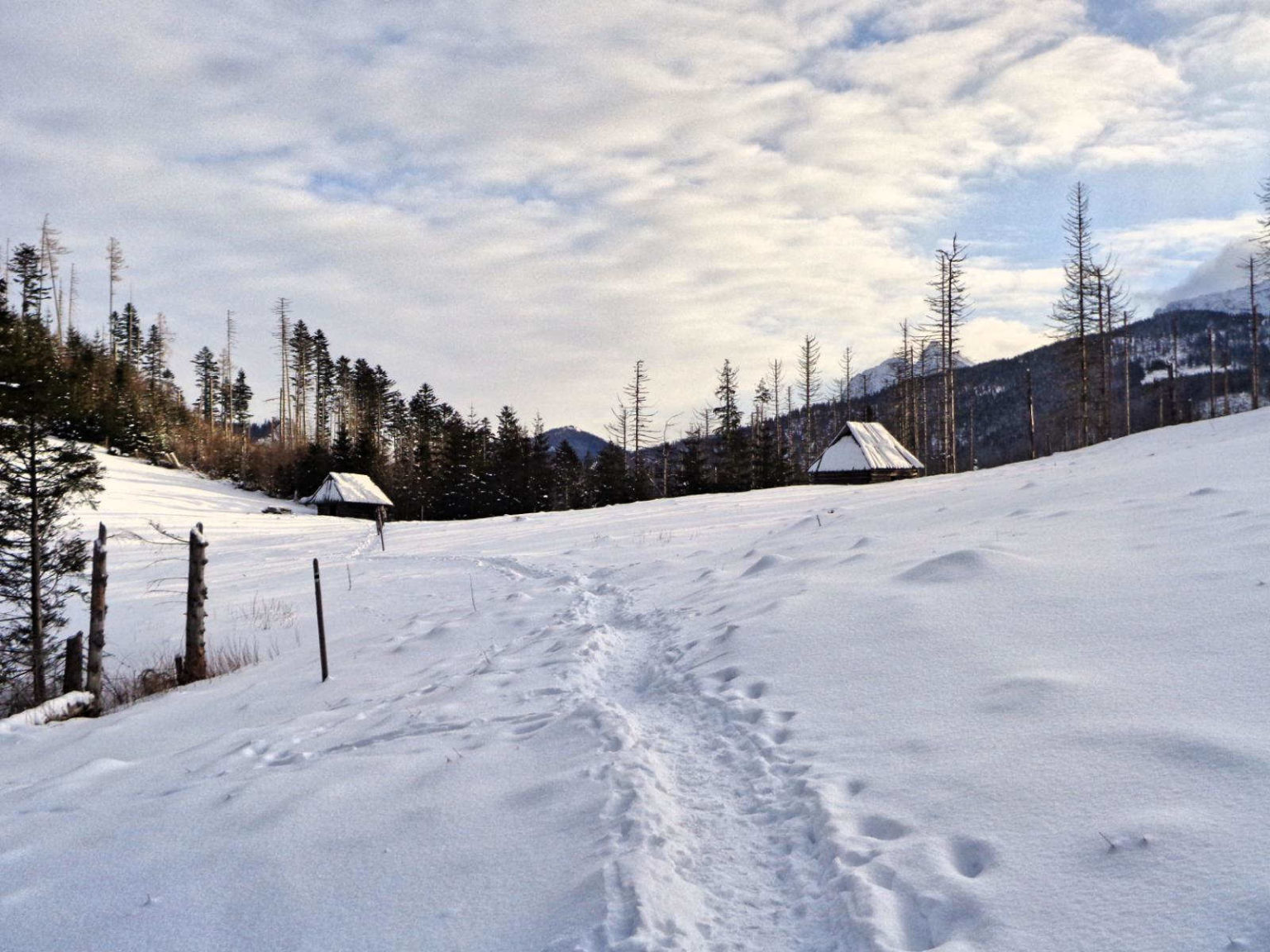 Jaskinia Raptawicka, Obłazkowa i Mylna zimą – ProjektyPrzygodowe