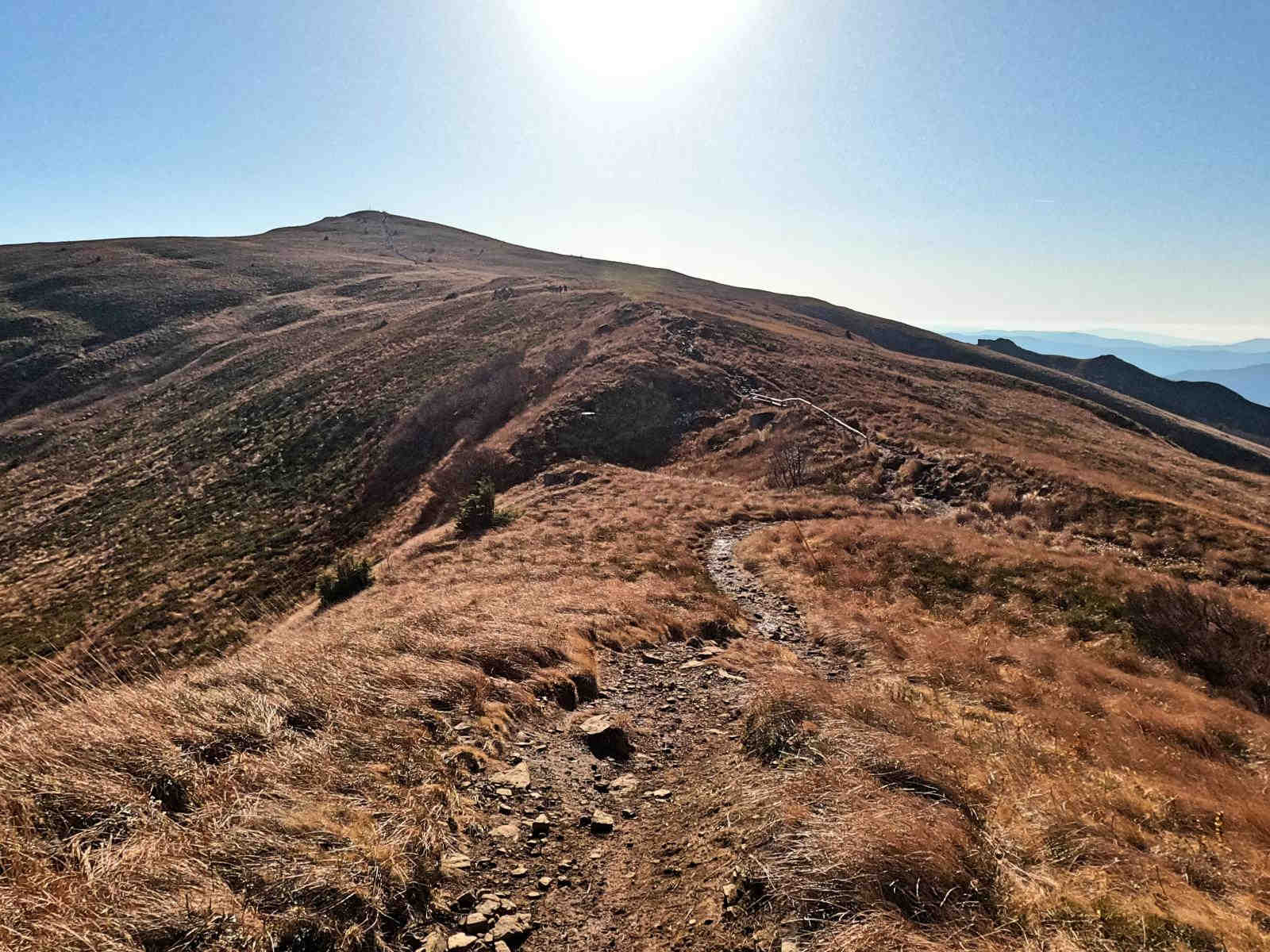 Tarnica, Halicz, Rozsypaniec – pętla z Ustrzyk Górnych – ProjektyPrzygodowe