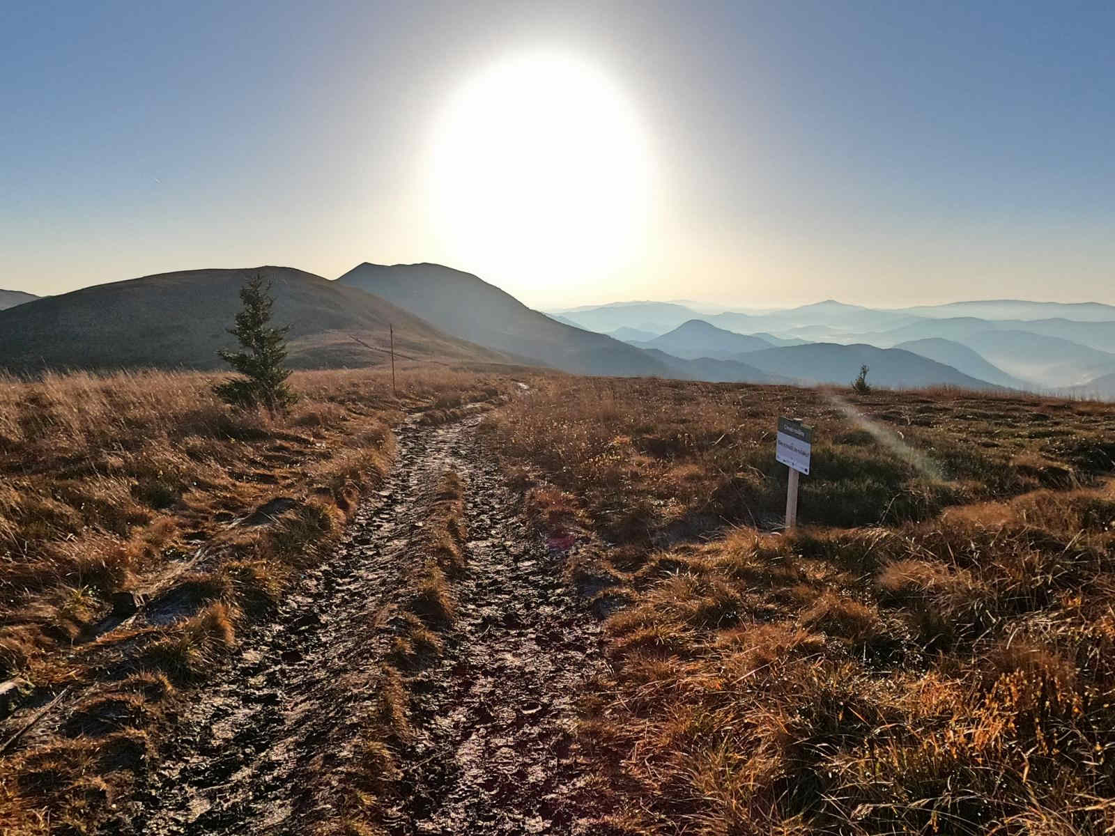 Tarnica, Halicz, Rozsypaniec – pętla z Ustrzyk Górnych – ProjektyPrzygodowe